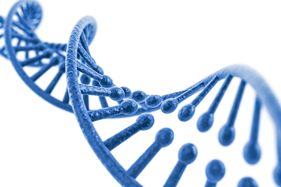 Java Cloning Problems Vojtech Ruzickas Programming Blog
