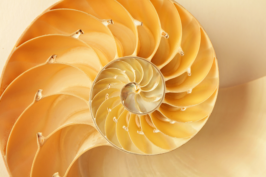 JShell - New REPL tool in Java 9 for quick prototyping | Vojtech Ruzicka's Programming Blog